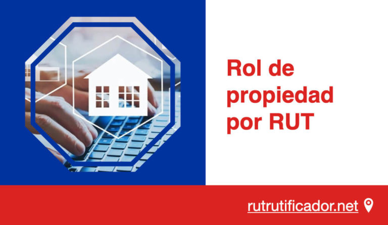 Búsquedas por RUT 2025 - Busca información por RUT ONLINE