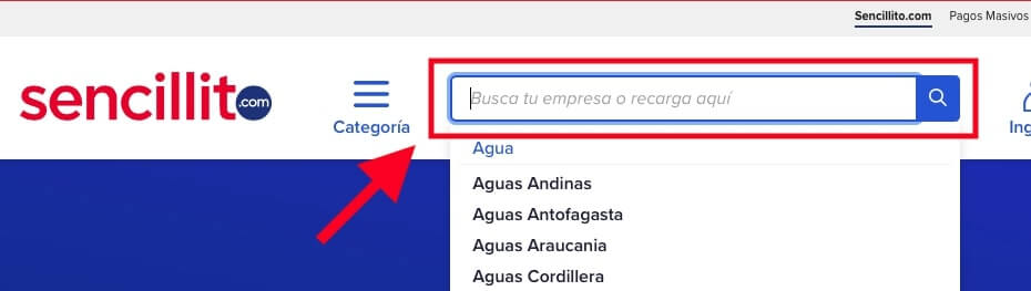 Pagar Mundo Pacífico con RUT 2022 (Fácil y Rápido)
