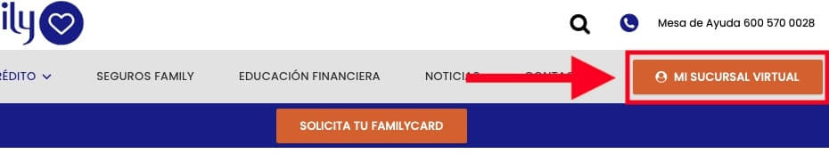 Pagar Family Shop con RUT 2023 (Fácil y Rápido)