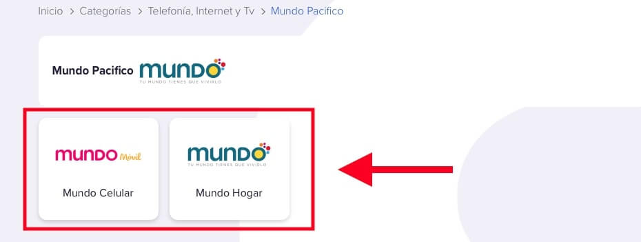 Pagar Mundo Pacífico con RUT 2023 (Fácil y Rápido)