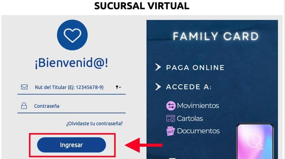 Pagar Family Shop con RUT 2023 (Fácil y Rápido)