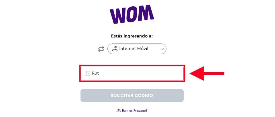 Pagar WOM con RUT 2023 (Fácil y Rápido)