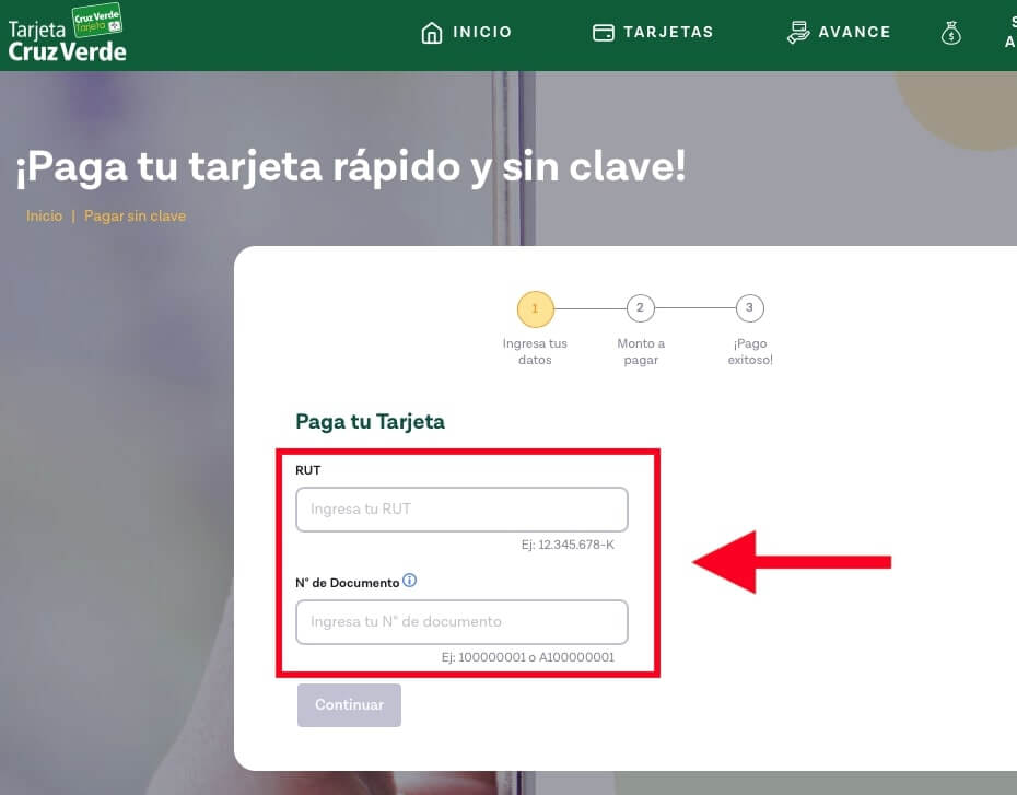 Pagar Cruz Verde con RUT 2023 (Pago Fácil y Rápido)
