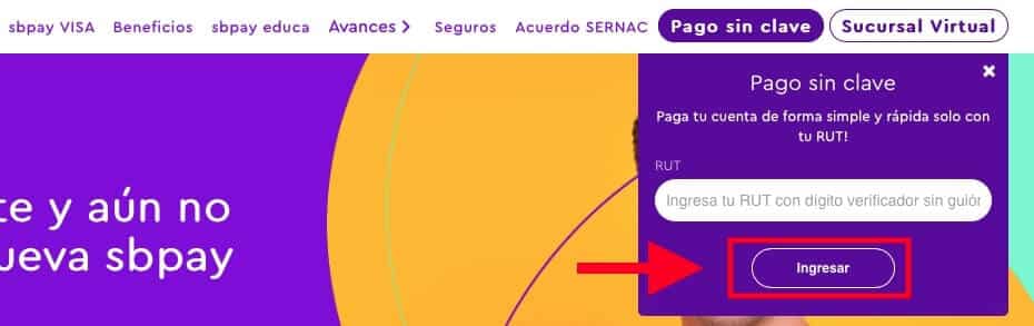 Pagar Salcobrand Preunic con RUT 2023 (Pago SBPay Fácil y Rápido)